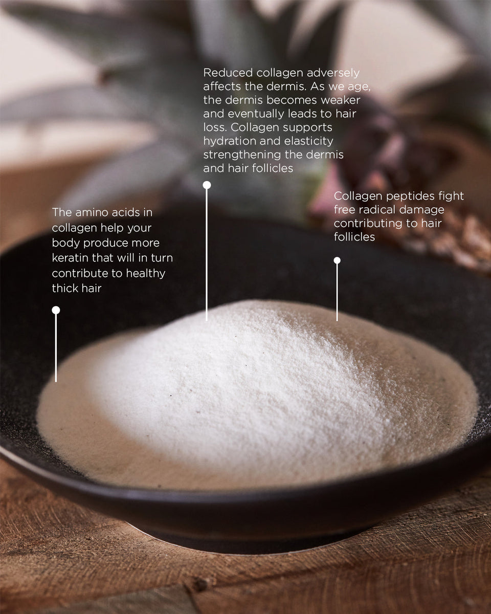 Everything You Need to Know About Hydrolysed Collagen – Active Collagen